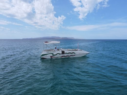 Charter Advantage 28 Party Cat Xl Motorboat (2002) in La Paz - Click&Boat