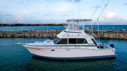 Location Bateau à moteur Bertram 1986 (1986) à Puerto Aventuras - Click ...