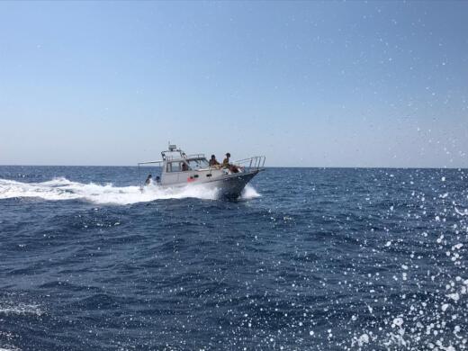 Miete Motorboot Damor 900 (2014) in Dubrovnik - Click&Boat