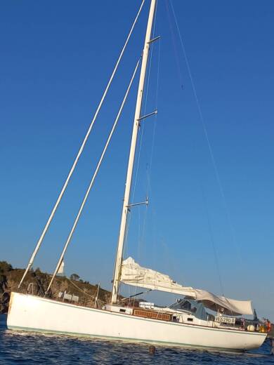 Charter One Design One Design Sailboat (2017) in Punta Ala - Click&Boat