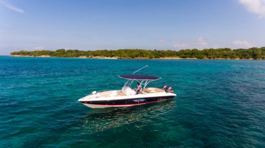 Charter Bravo 290 Arco Iris V 10 Personas Motorboat (2017) in Cartagena ...