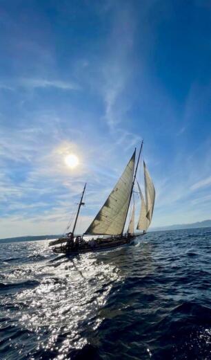 Rent Thetis Ware Charles Sibbick Sailboat (2023) in Monte Carlo - Click ...