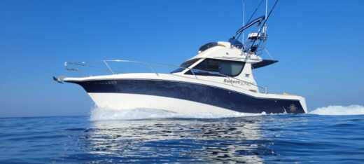 Rent Rodman R-1040 Motorboat (2008) in Sotogrande - Click&Boat