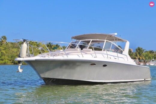 Rent Trojan Express Trojan Express Motorboat (2010) in Cancún - Click&Boat