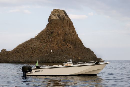 Charter Boston Whaler Guardian Motorboat (1992) in Riposto - Click&Boat