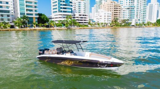 Charter Singlar 280 (Bitcoin Limited Edition) Motorboat (2022) in ...