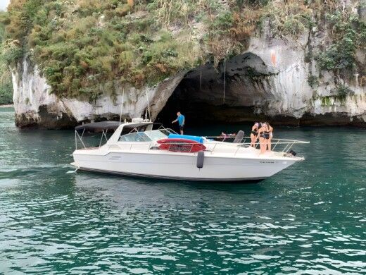 Miete Motorboot Sea Ray Sea Ray 46 (2021) in Puerto Vallarta - Click&Boat