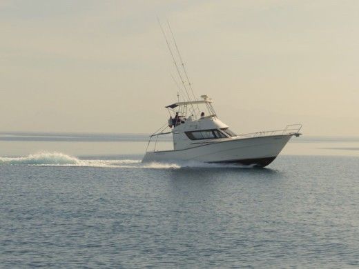 Location Bateau à moteur Rodman 1200 (2015) à Can Picafort - Click&Boat