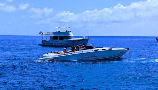 Charter Wellcraft Scarab 377 Motorboat (1984) in Naples - Click&Boat