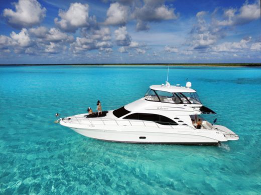Charter Sea Ray 600 Sedan Bridge Motorboat (2018) in Cozumel - Click&Boat