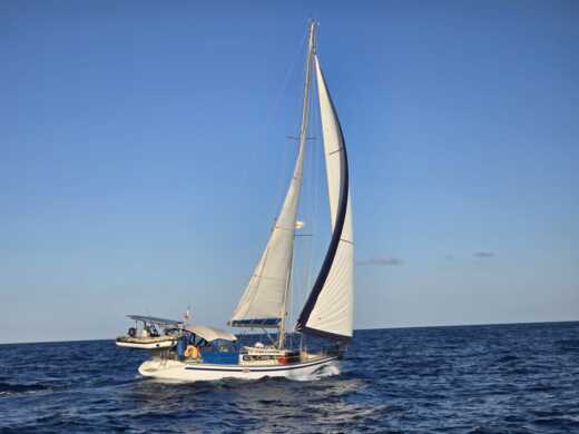 Rent Jeanneau Sun Fizz 40 Sailboat (1980) in San Blas Islands - Click&Boat