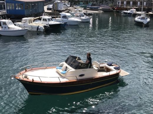 Rent De Simone Mare 8M Motorboat (2016) in Sorrento - Click&Boat