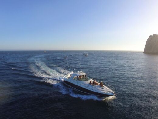 Charter Sea Ray Cruiser Motorboat (2014) in Cabo San Lucas - Click&Boat