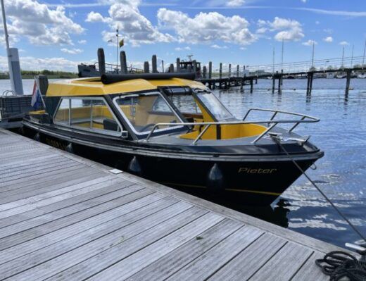 Motorboot Phoenix Electro Phoenix 21 (2018) huren in Kortgene - Click&Boat